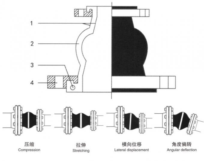 Pn16 Carbon Steel Flexible Concentric Reducer Rubber Coupling ss ...